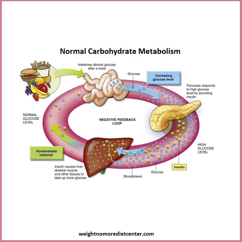 Course information | Carbohydrate Metabolism (FARAHI Karima) | MUMS